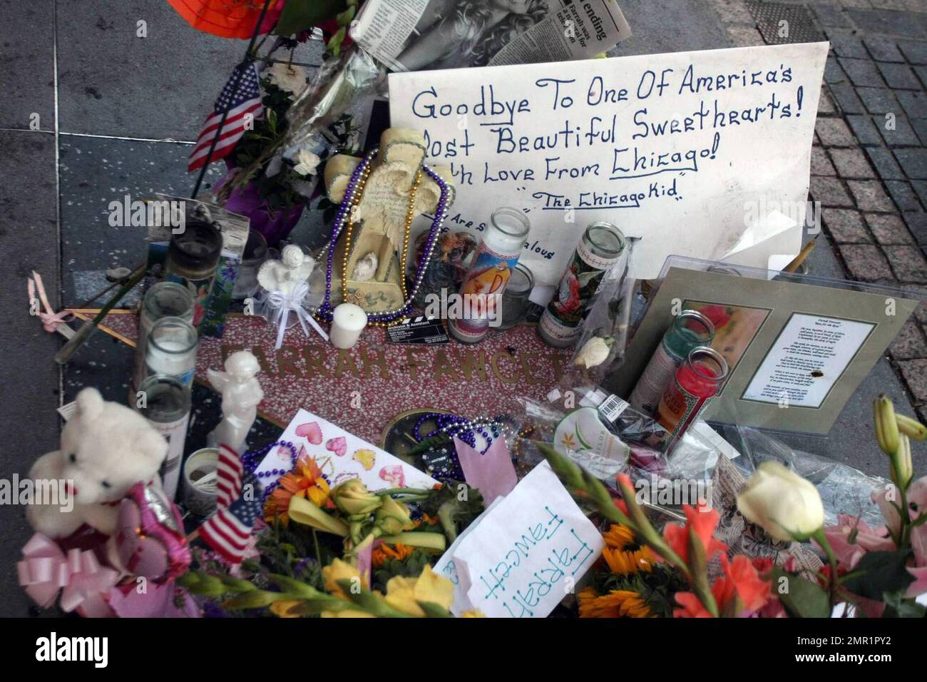 Farrah fawcett walk of fame star flowers hi-res stock photography and ...