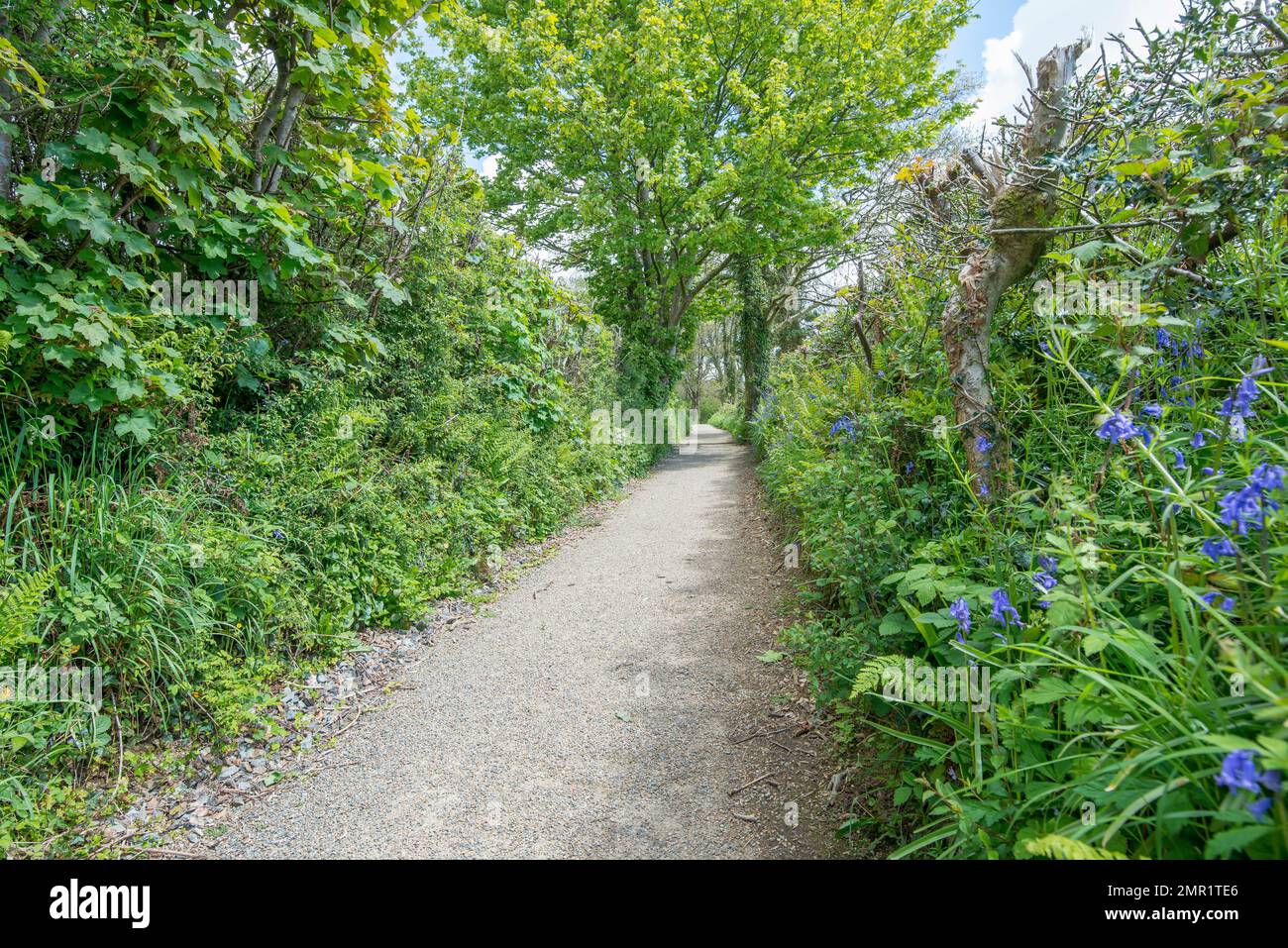 Narberth wales hi-res stock photography and images - Alamy