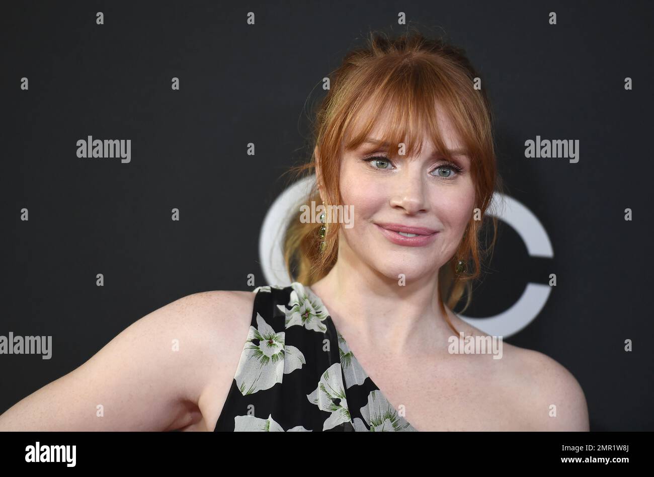 Bryce Dallas Howard arrives at the Hollywood Film Awards at the Beverly ...