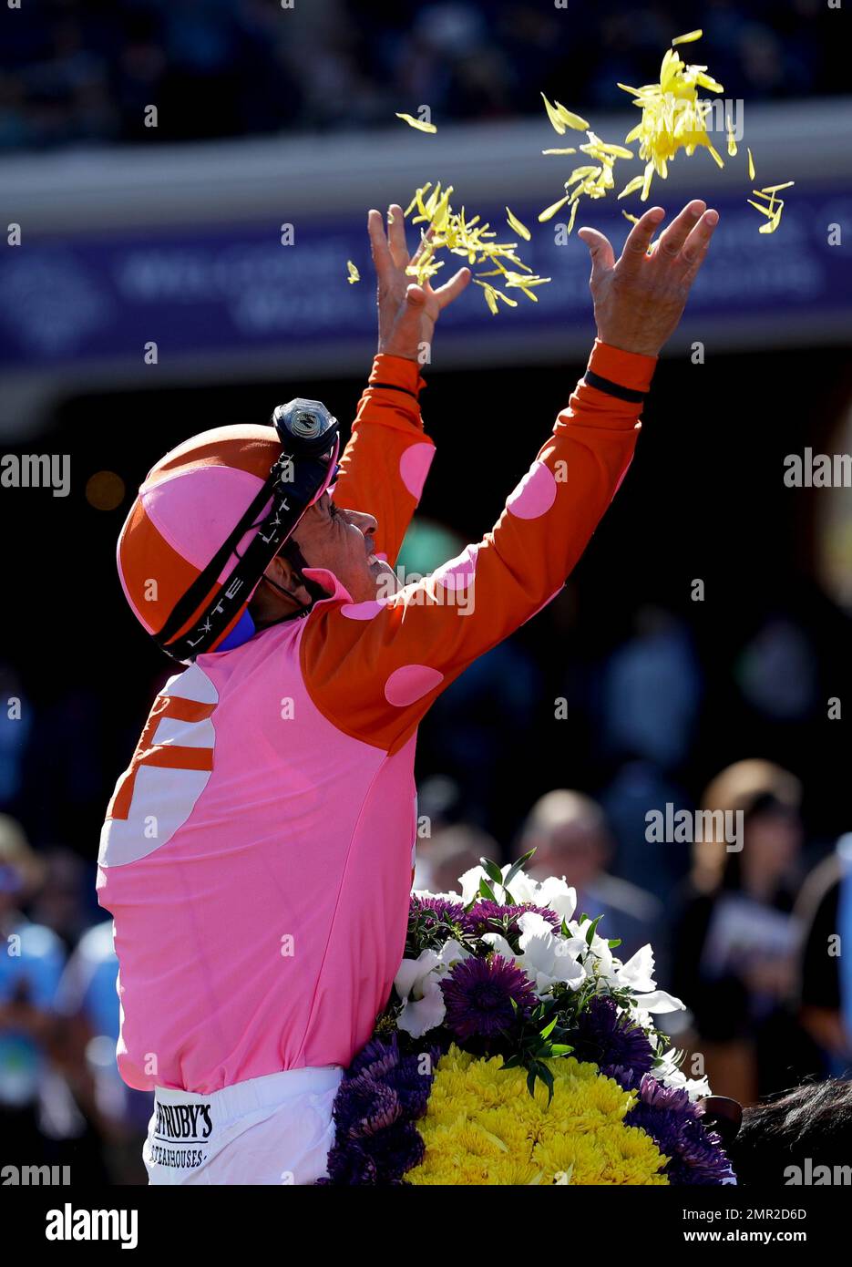 Mike E. Smith celebrates after riding Caledonia Road to victory in the ...