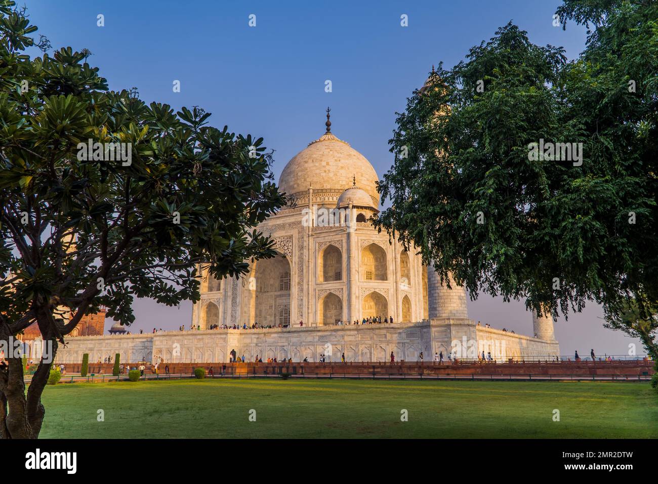 A breathtaking view of the beautiful Taj Mahal temple between the trees ...