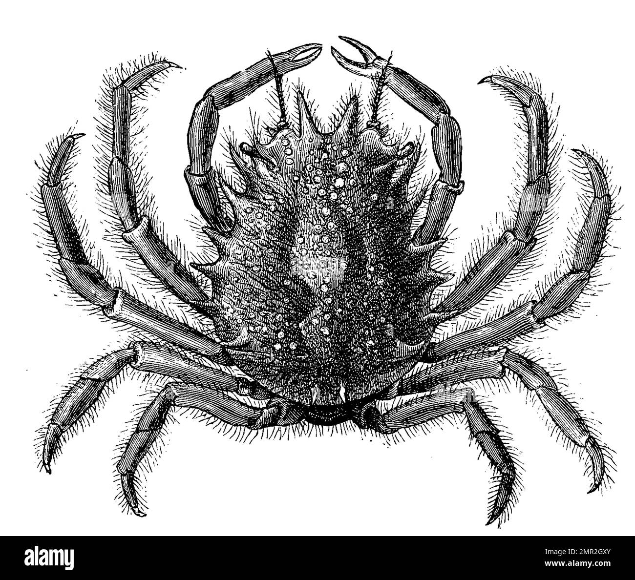 Im mittelmeer Black and White Stock Photos & Images - Alamy