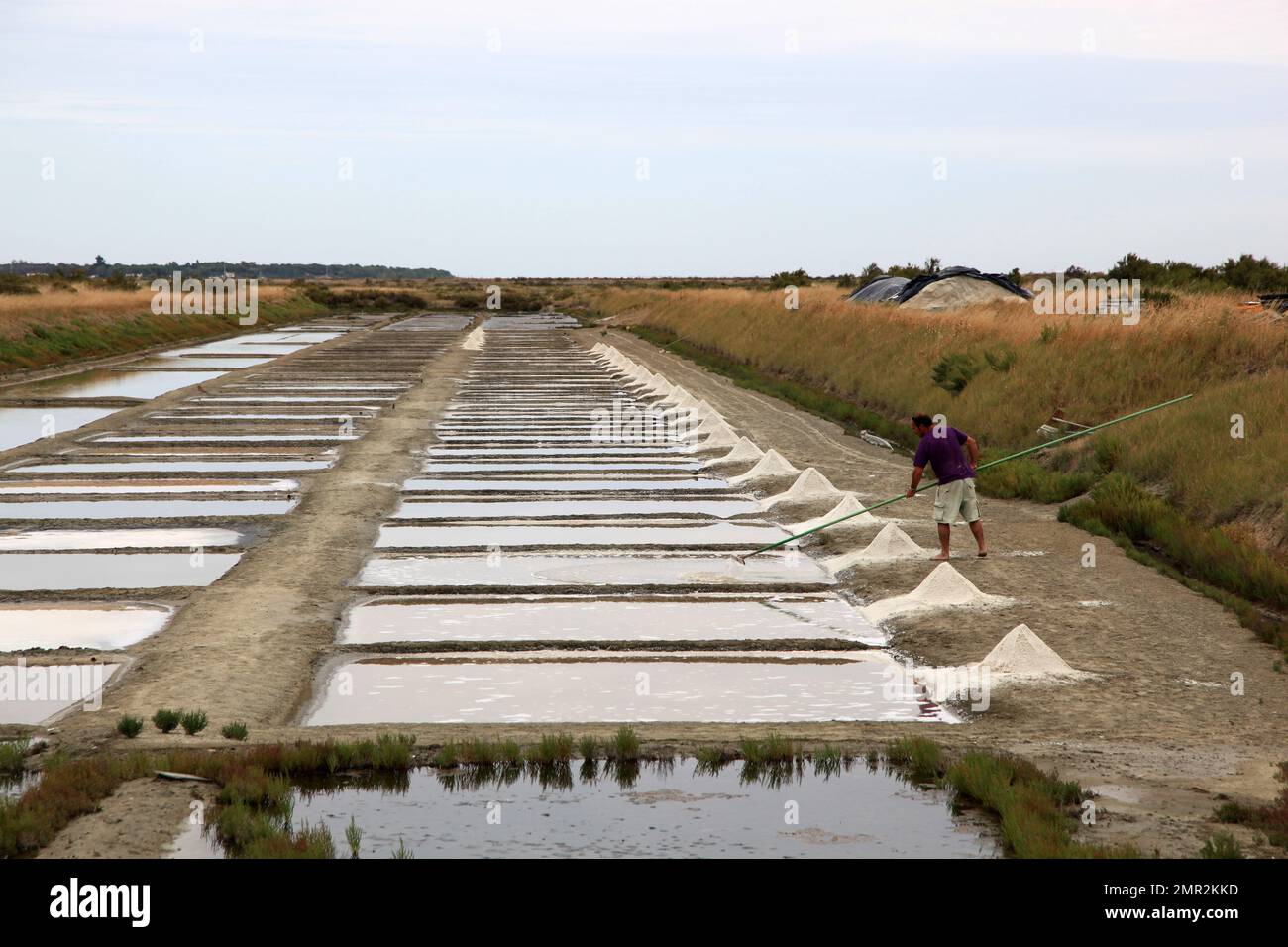 Salt marshes, The Vendee, France Stock Photo - Alamy