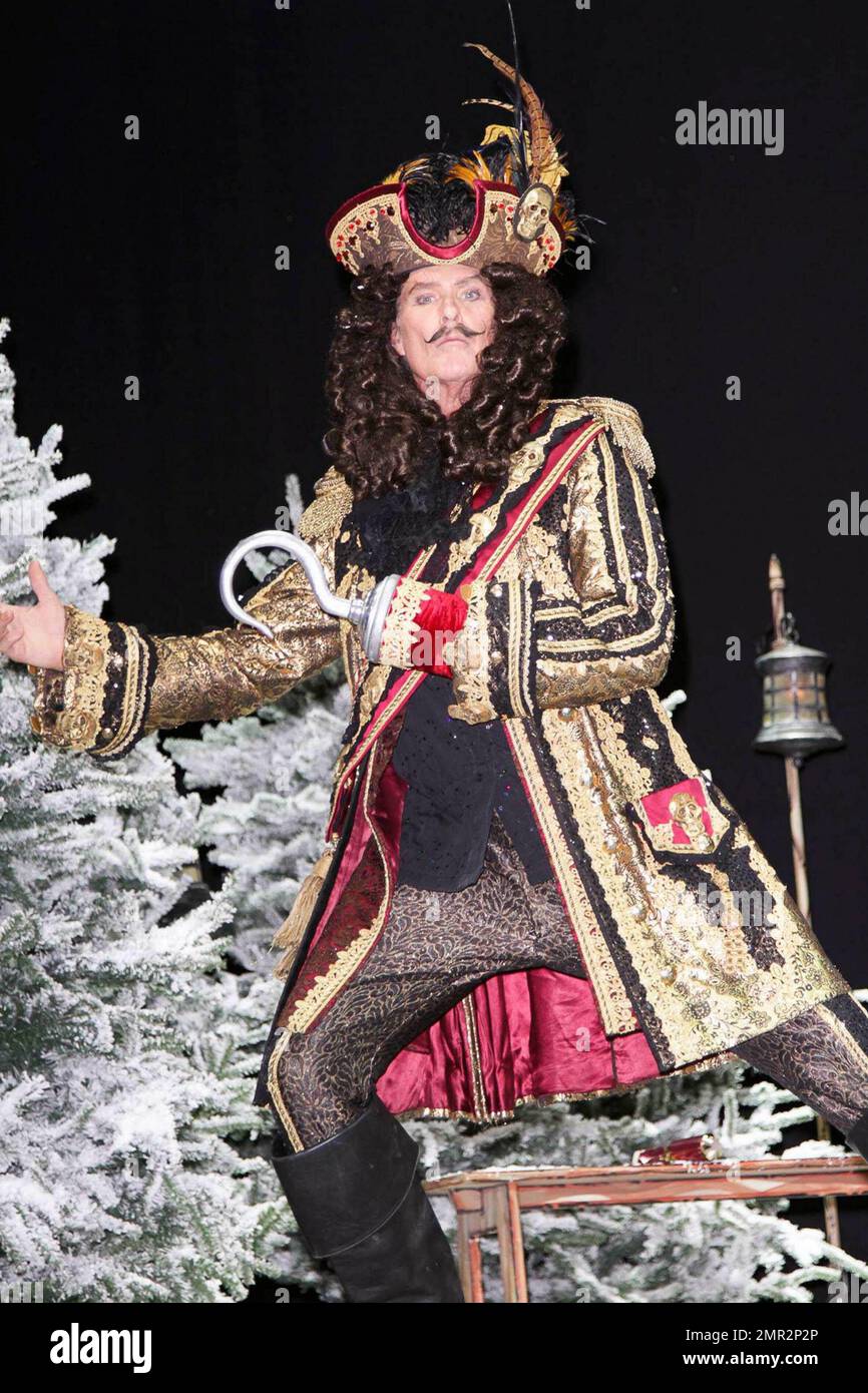 David Hasselhoff at the First Family Entertainment Pantomime photocall ...