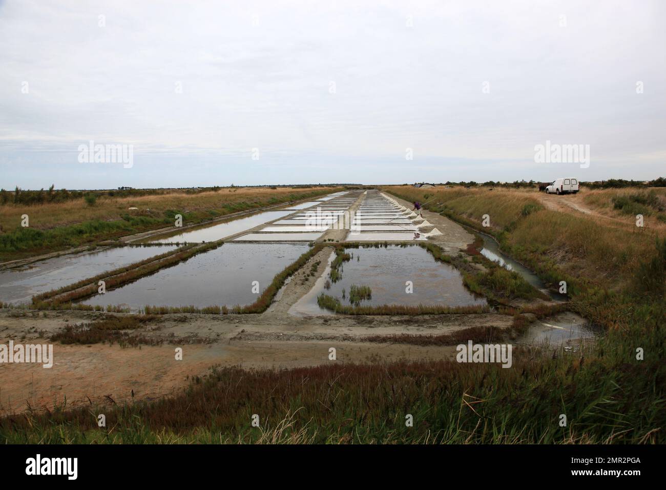 Salt marshes, The Vendee, France Stock Photo - Alamy