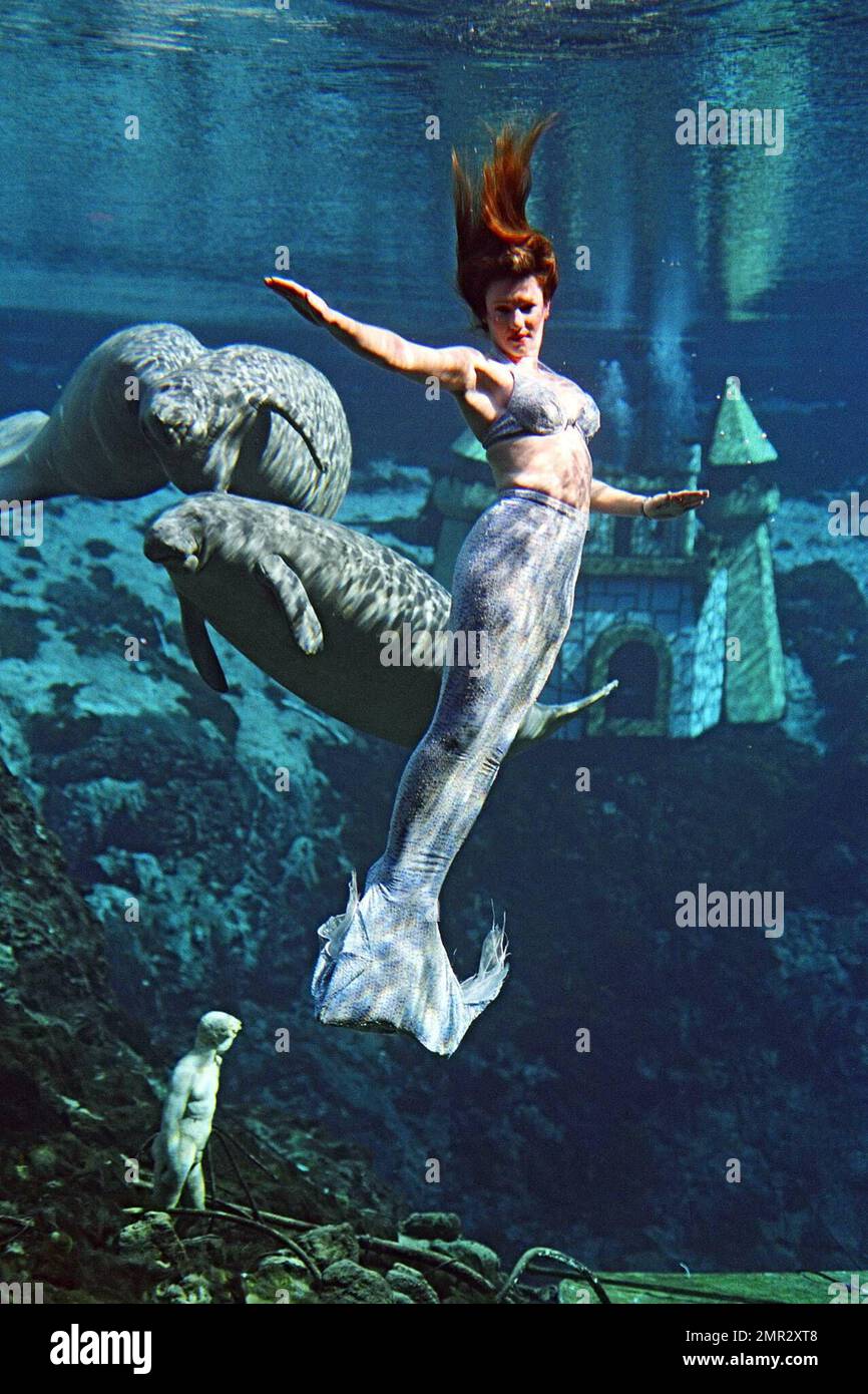 Exclusive!! Want to see a live mermaid? Go to the magical Weeki Wachee ...