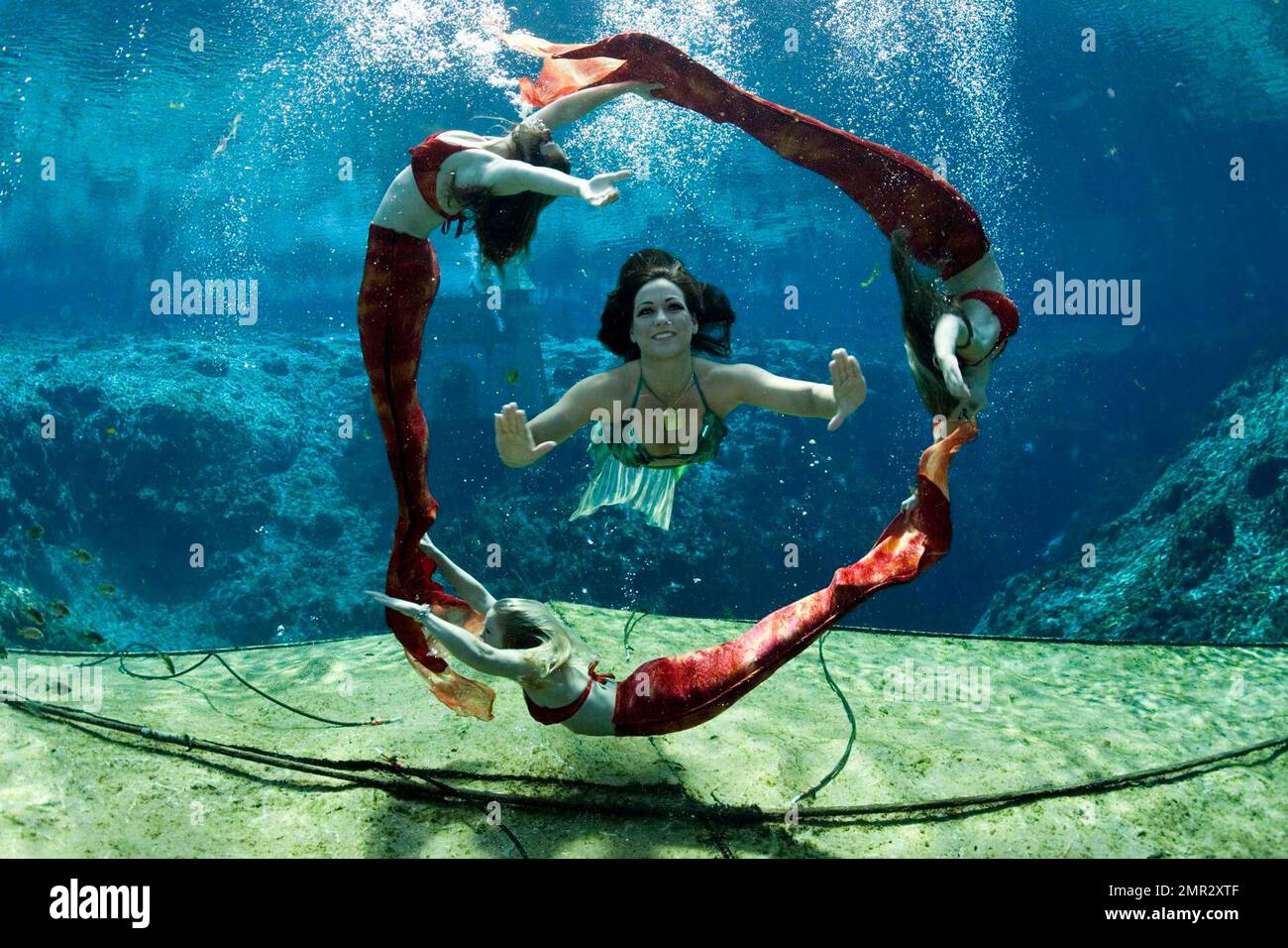 Exclusive!! Want to see a live mermaid? Go to the magical Weeki Wachee ...