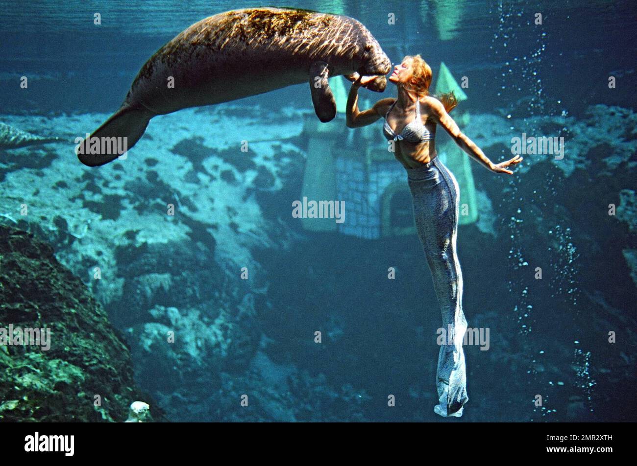 Exclusive!! Want to see a live mermaid? Go to the magical Weeki Wachee ...