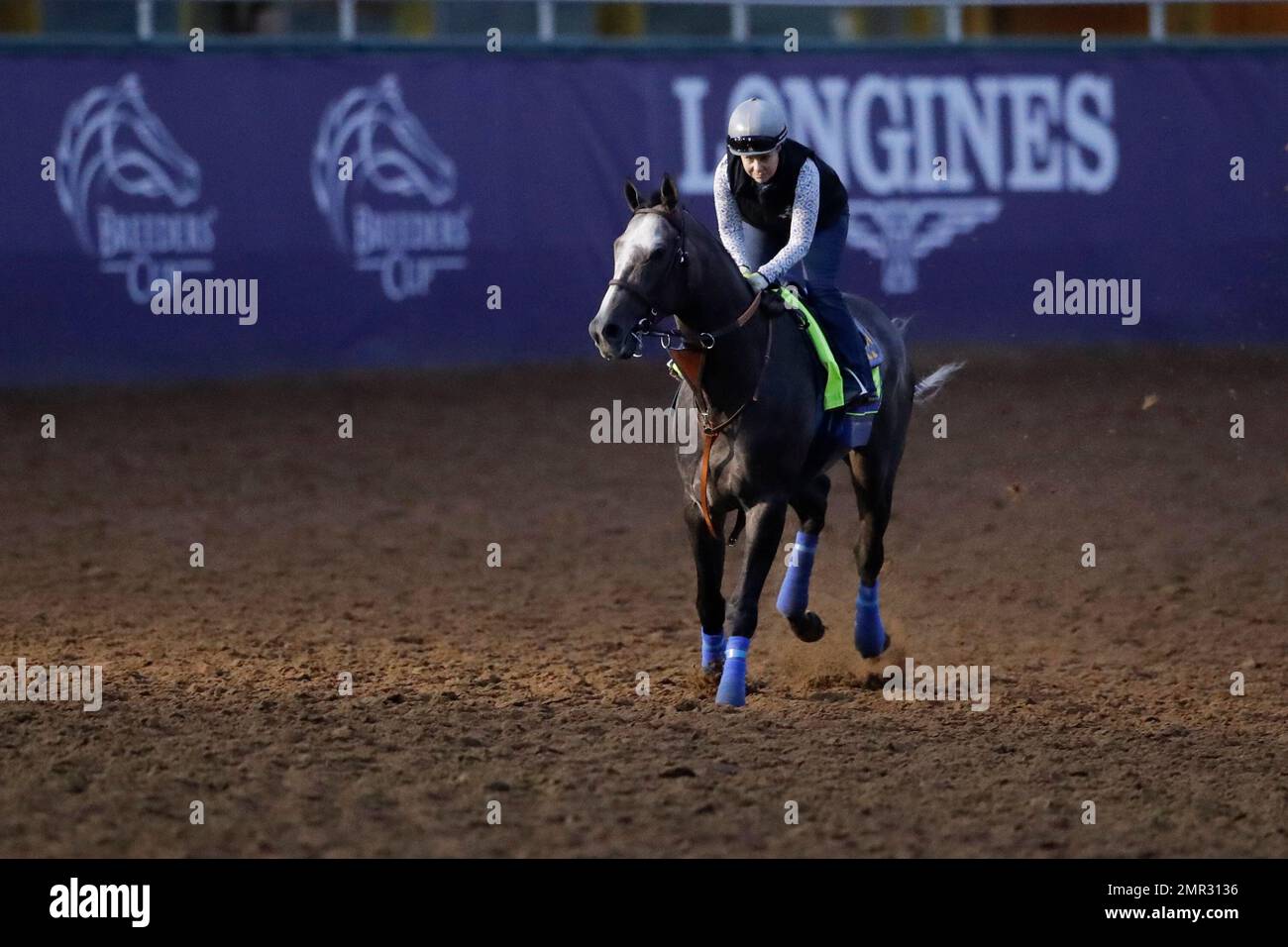 Exercise rider Dana Barnes rides Arrogate during morning workouts ...