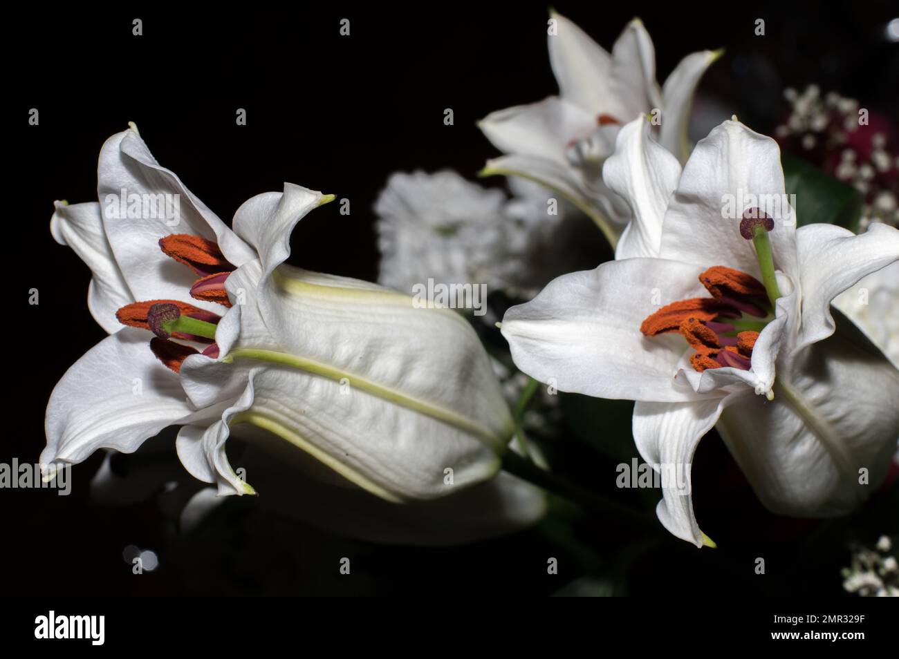 Madonna with flowers hi-res stock photography and images - Alamy
