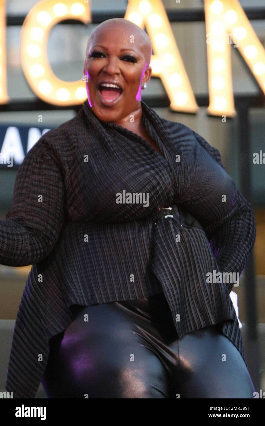 Frenchie davis hi-res stock photography and images - Alamy