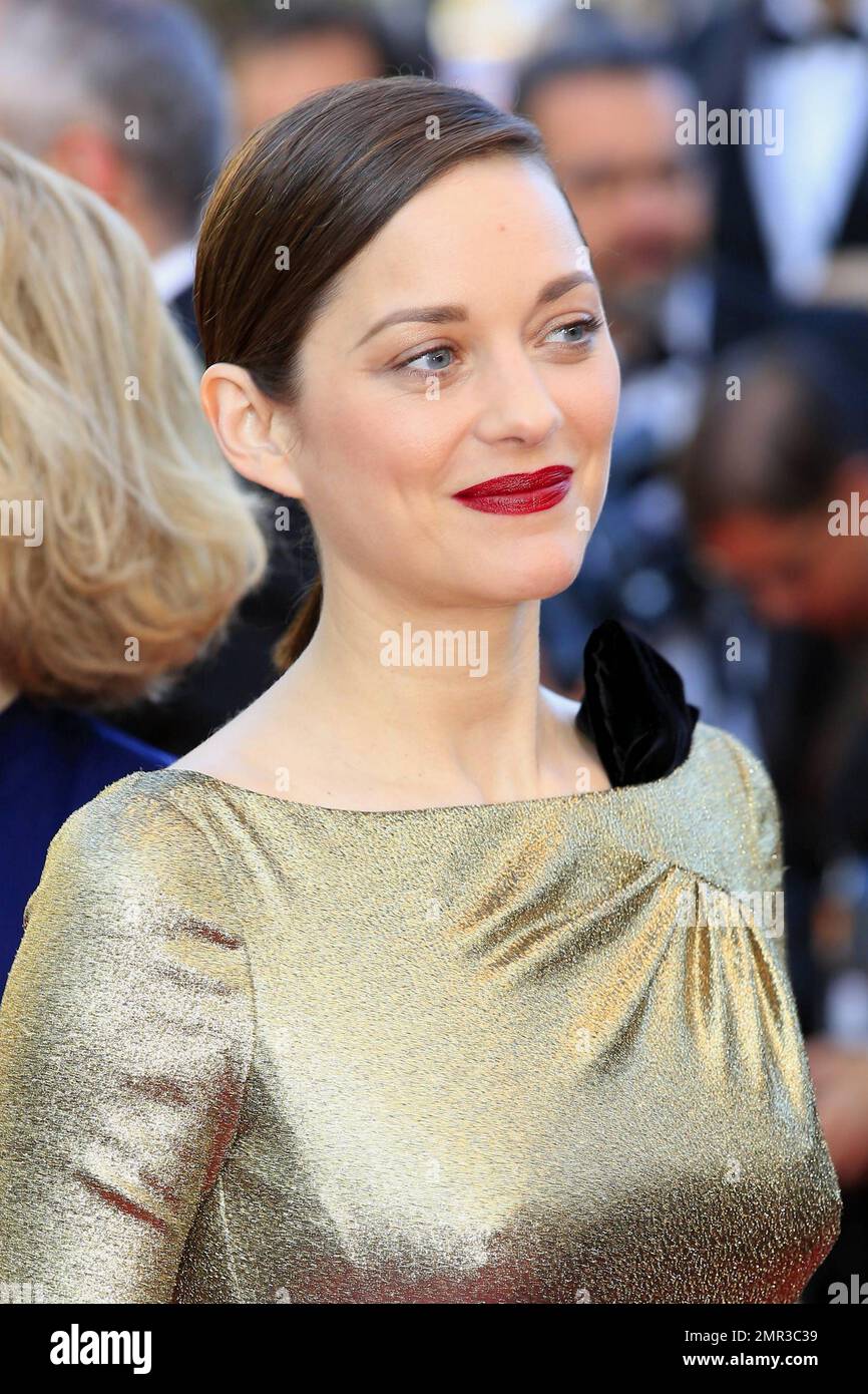 Marion Cotillard at the premiere of "From The Land Of The Moon" at the ...