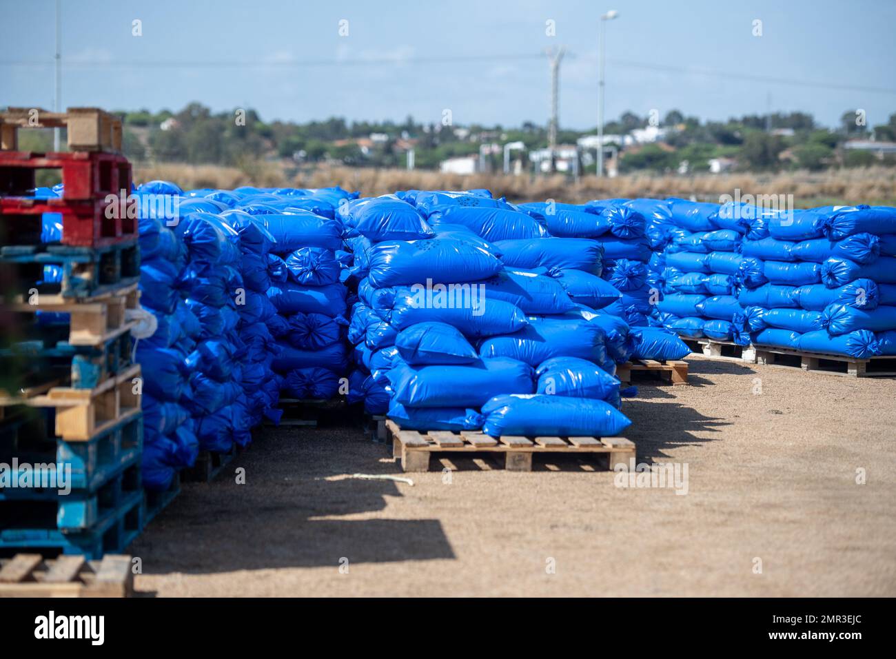Bags of packed salt at Salt marshes, Isla Cristina, Spain Stock Photo ...