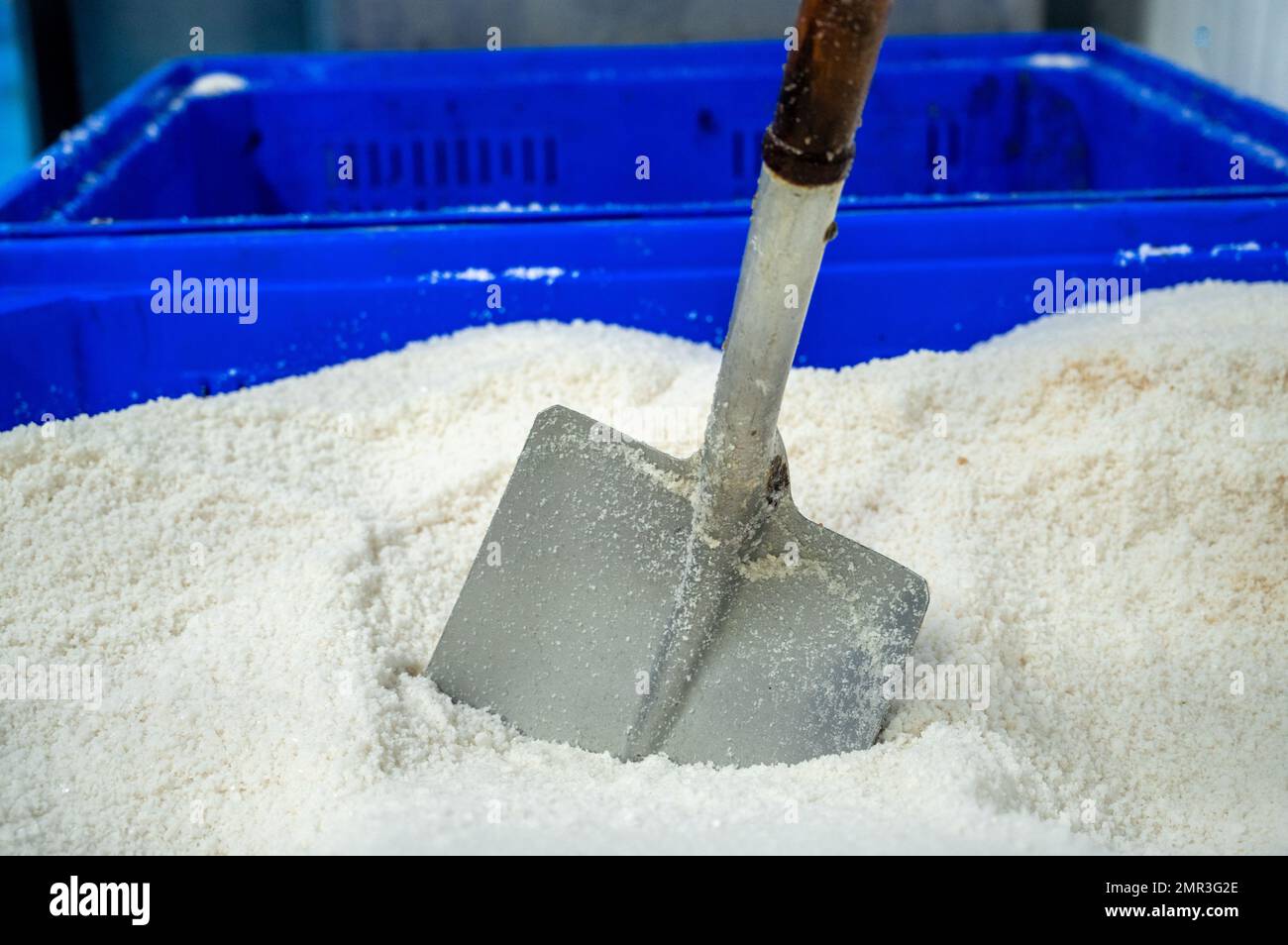 Shovel in pile of salt at fish canning factory (USISA), Isla Cristina ...