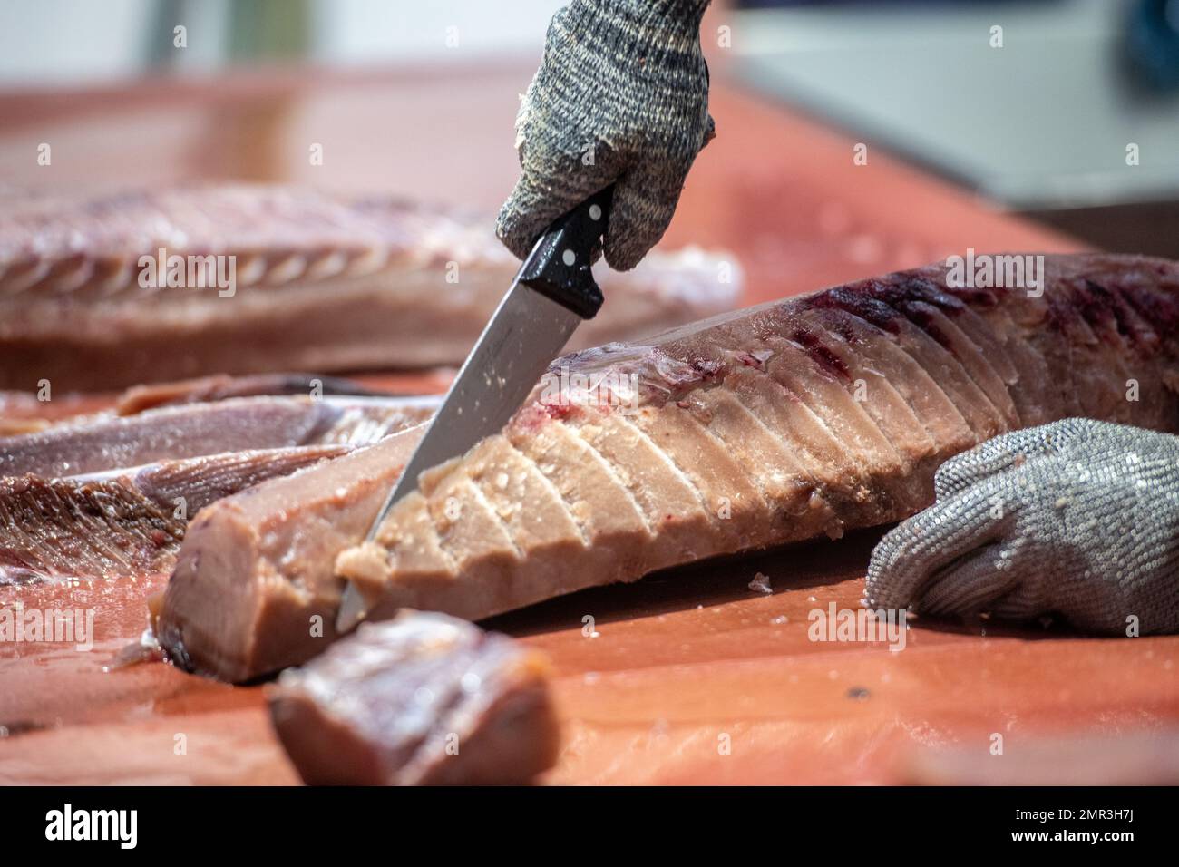 Cutting and prepping fish for canning process, Fish canning factory ...