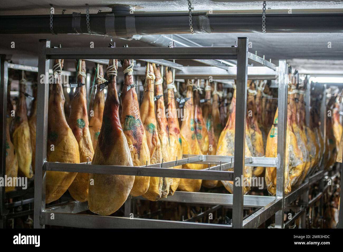 Production of iberian ham (cured ham), Puerto Gil, Spain Stock Photo ...