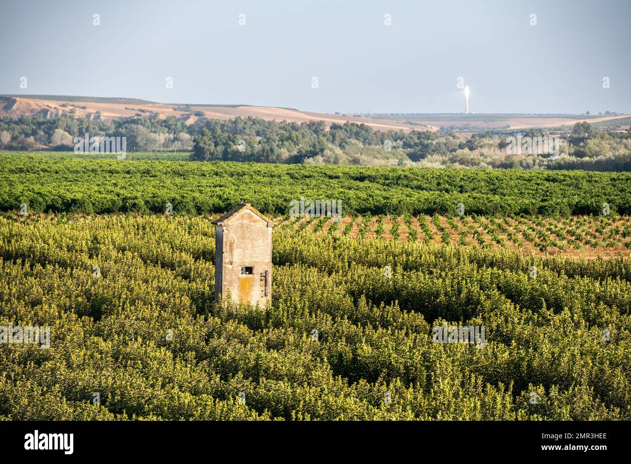 Cereal and citrus cooperative, Puerto Gil, Spain Stock Photo - Alamy
