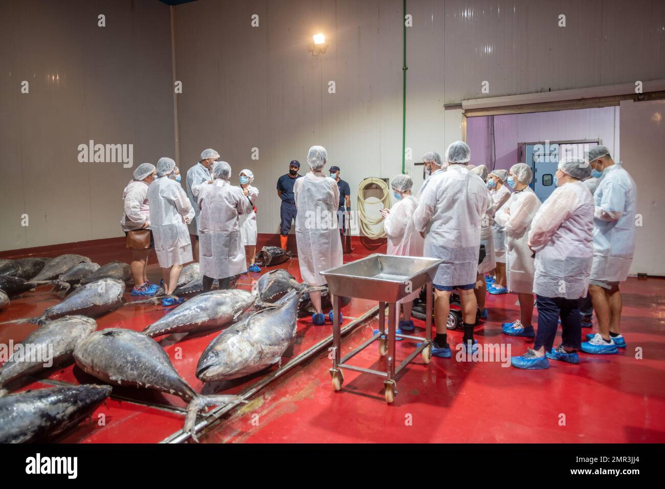 Seafood canning process hi-res stock photography and images - Alamy