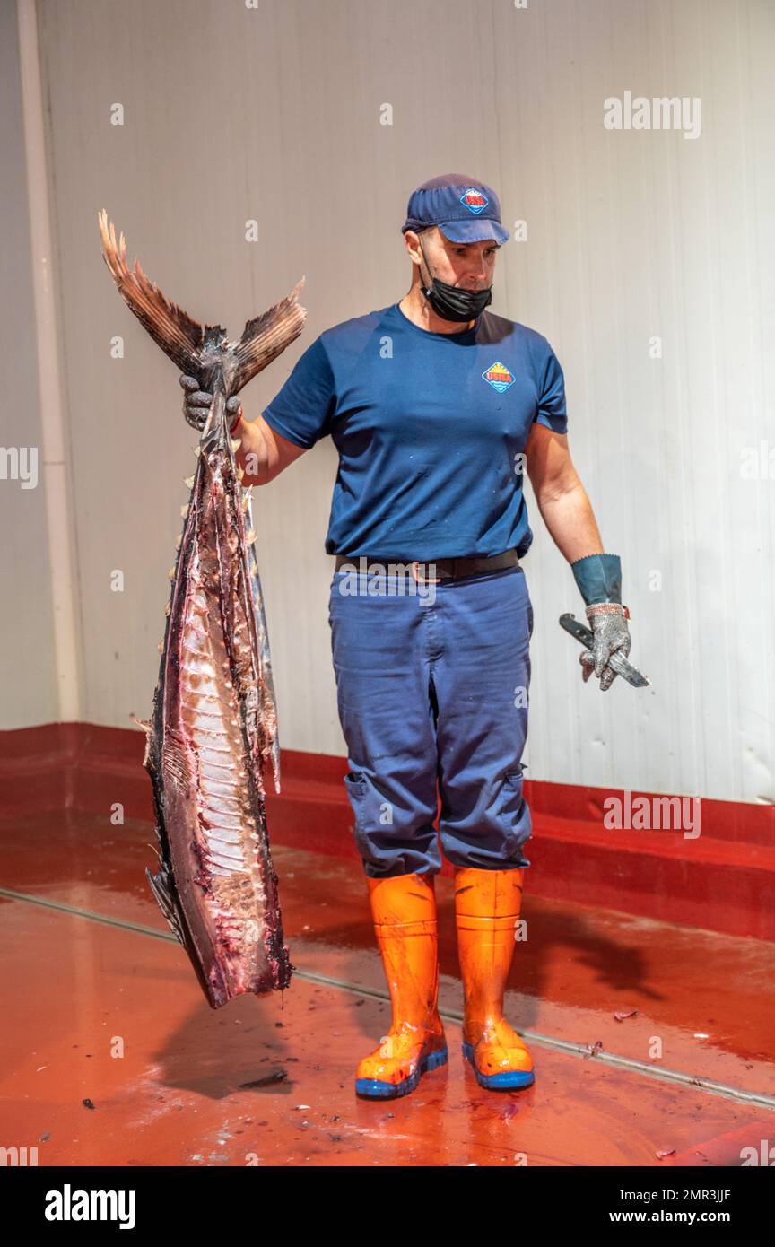 Seafood canning process hi-res stock photography and images - Alamy