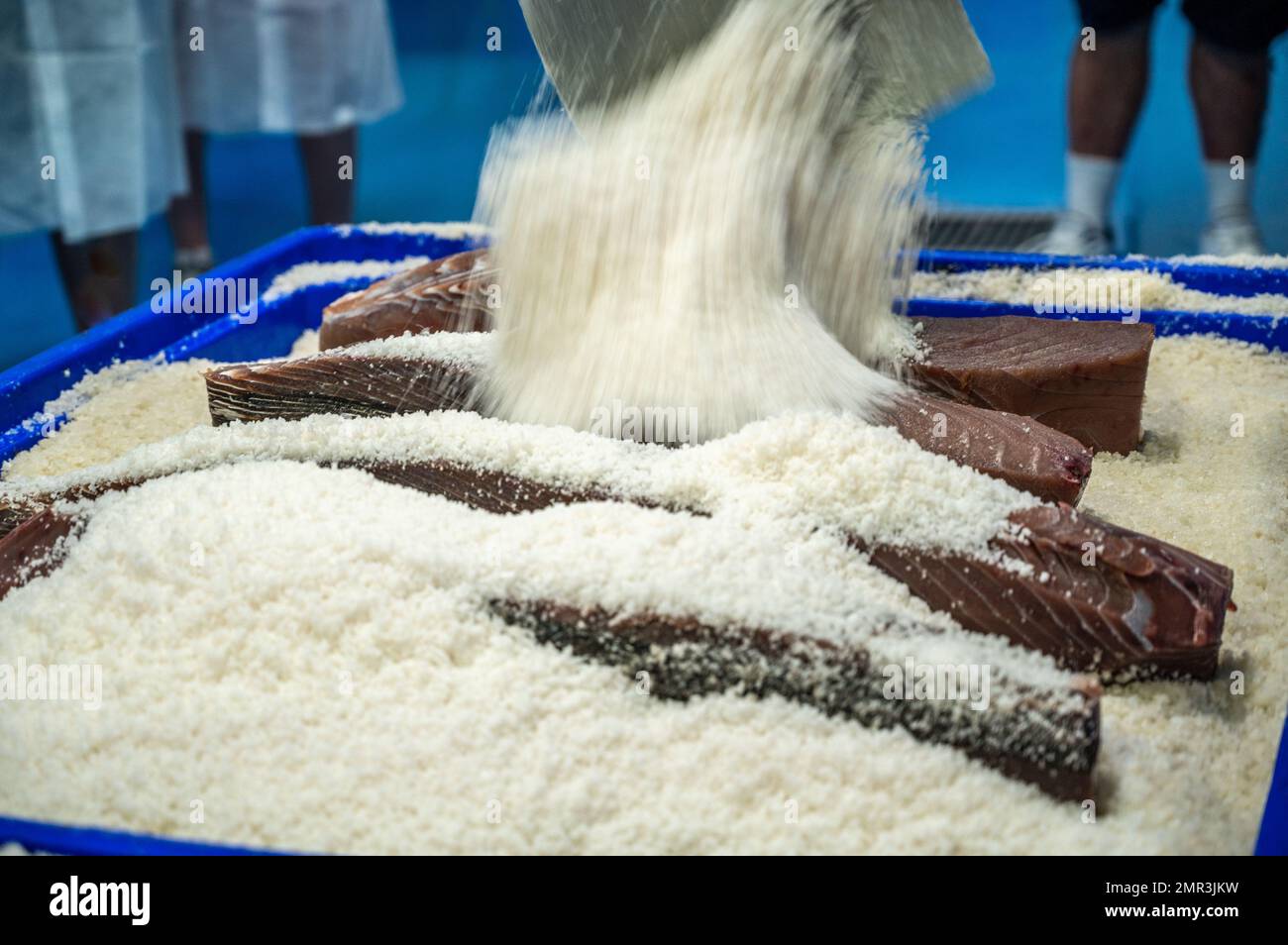 Seafood canning process hi-res stock photography and images - Alamy