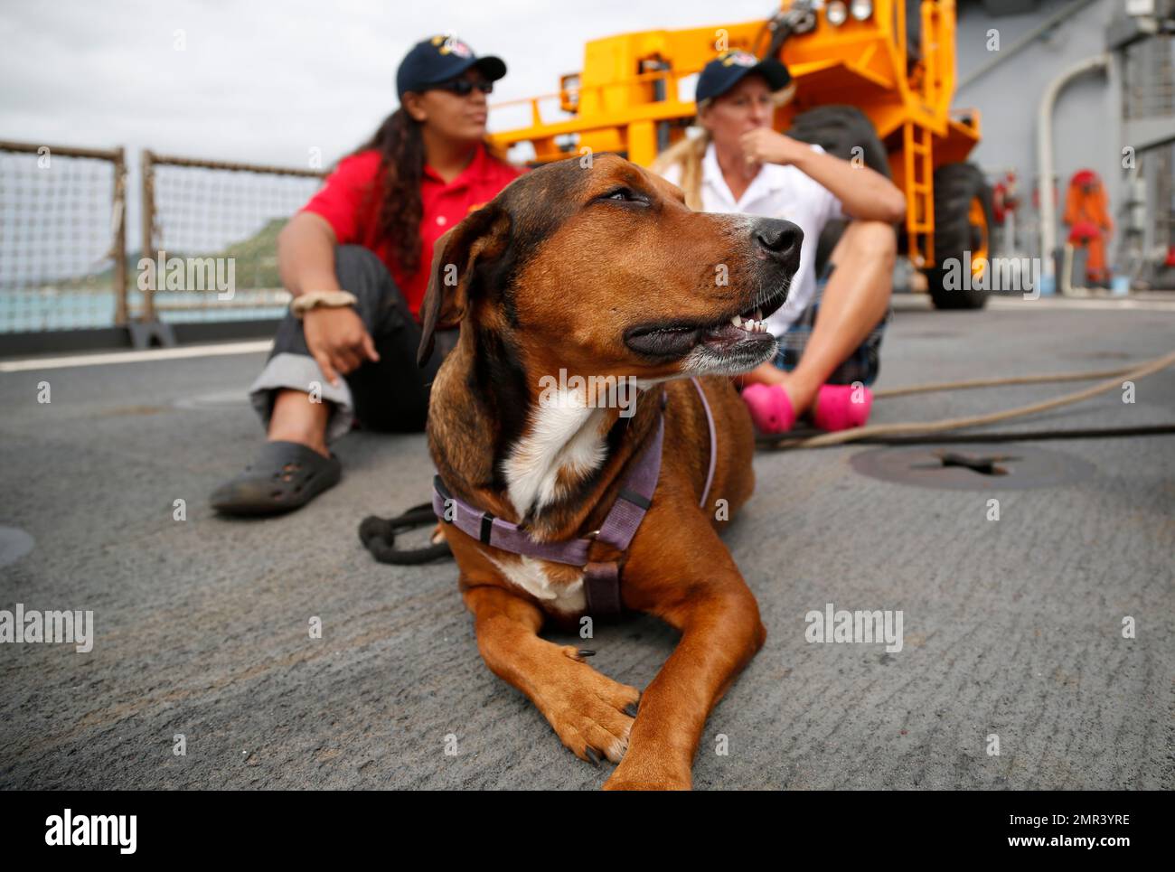 ADDS YEAR - Jennifer Appel, right, and Tasha Fuiava sit with their dog ...