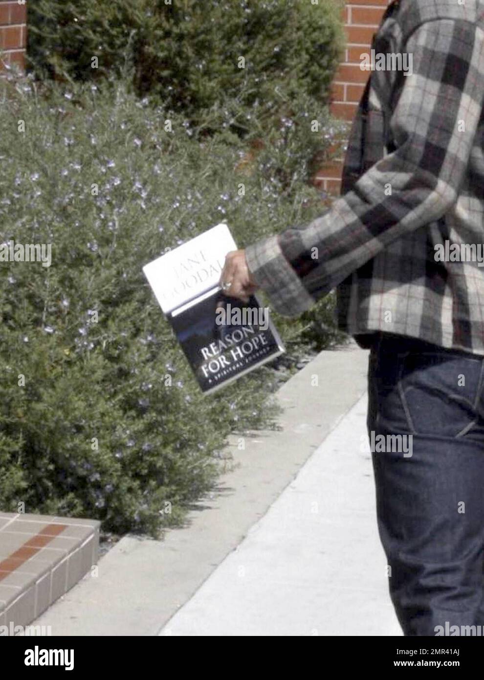 Gavin Rossdale takes a walk carrying along the book he's reading ...