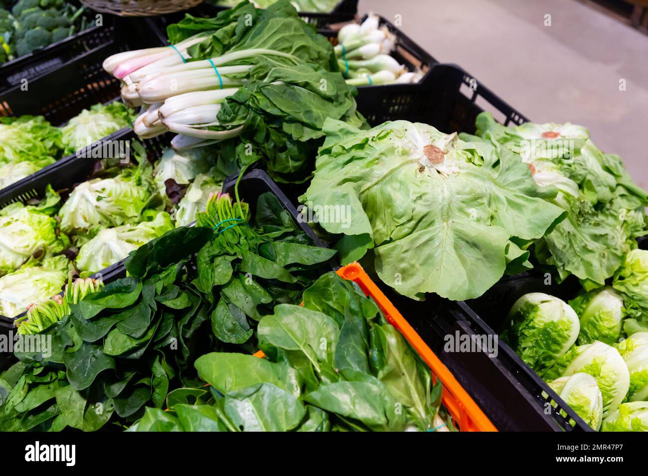 Fresh greens in supermarket Stock Photo - Alamy