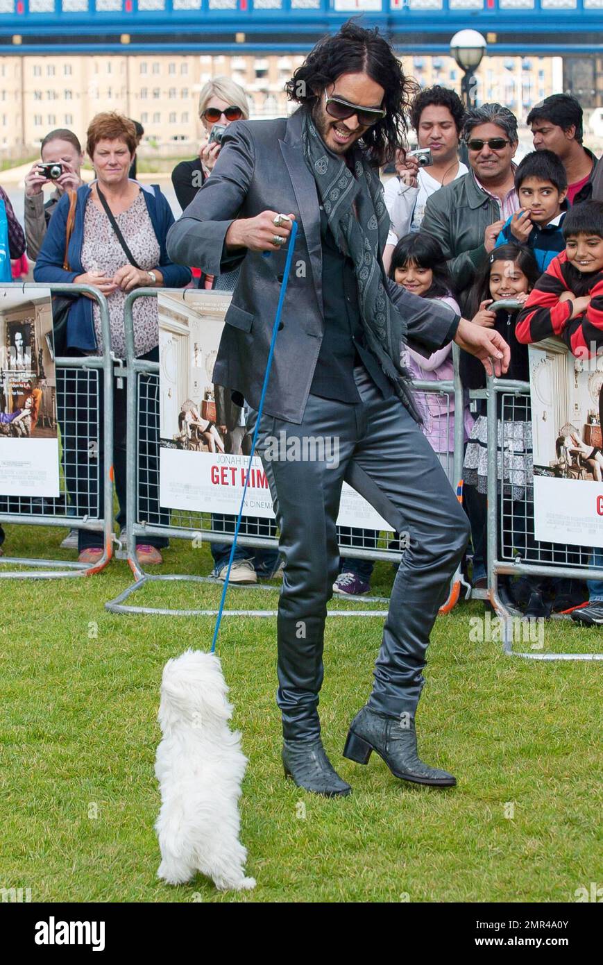 Bad boy comedian Russell Brand and actor Jonah Hill attend a photo call ...