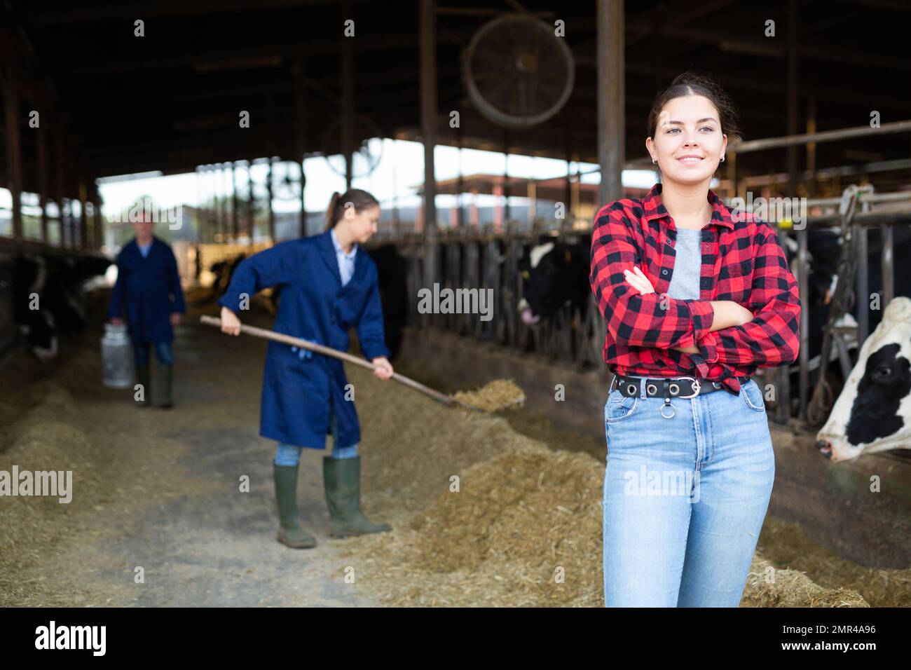 Farmer engaged in breeding of cows posing in cowshed Stock Photo - Alamy