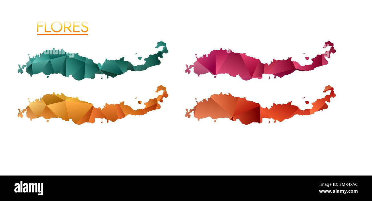 Set of vector polygonal maps of Flores. Bright gradient map of island ...