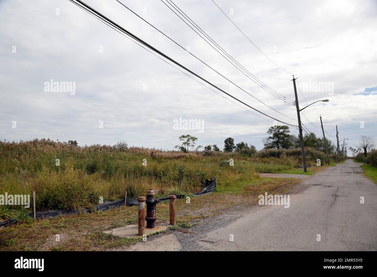 Overgrown empty lots are seen where there used to be houses in a flood ...