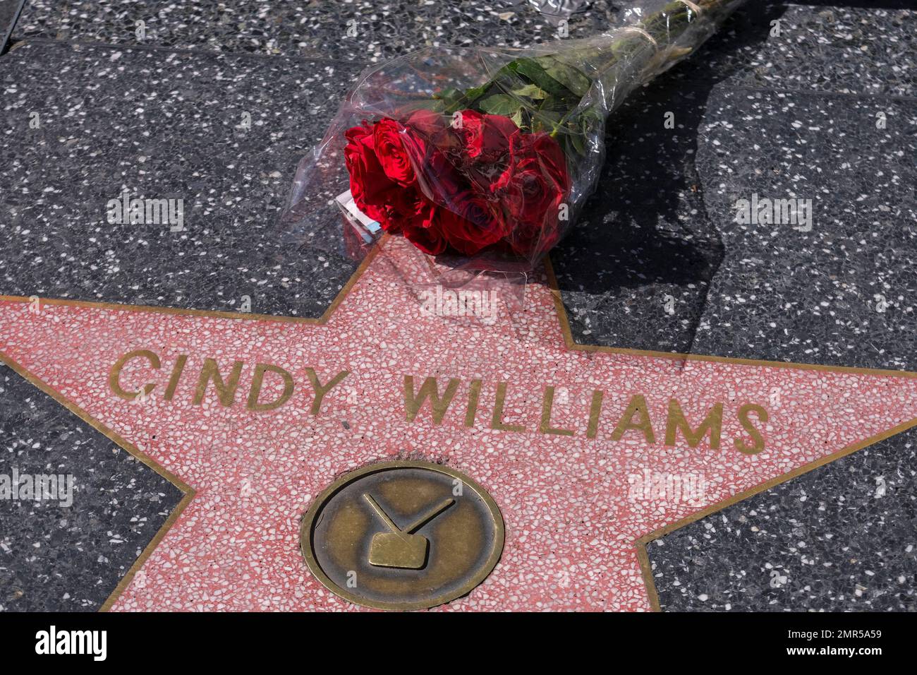 January 31, 2023, Los Angeles, California, USA: Flowers are placed at ...