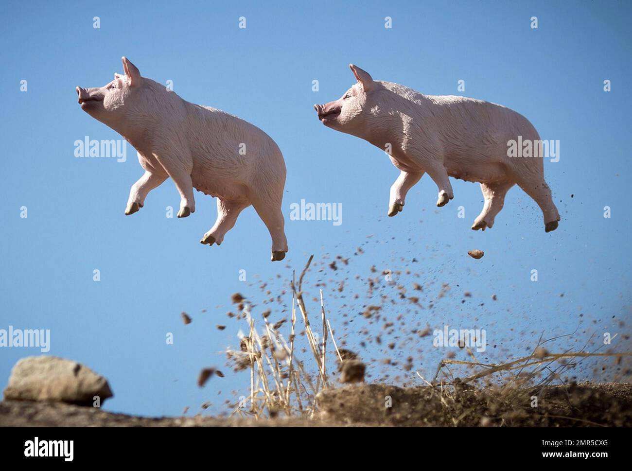 EXCLUSIVE!! Gravity defying toy photography by Mitchel Wu of LA. He ...