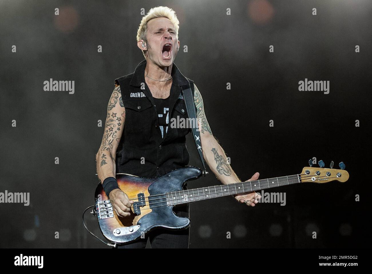 Mike dirnt bass guitar hi-res stock photography and images - Alamy