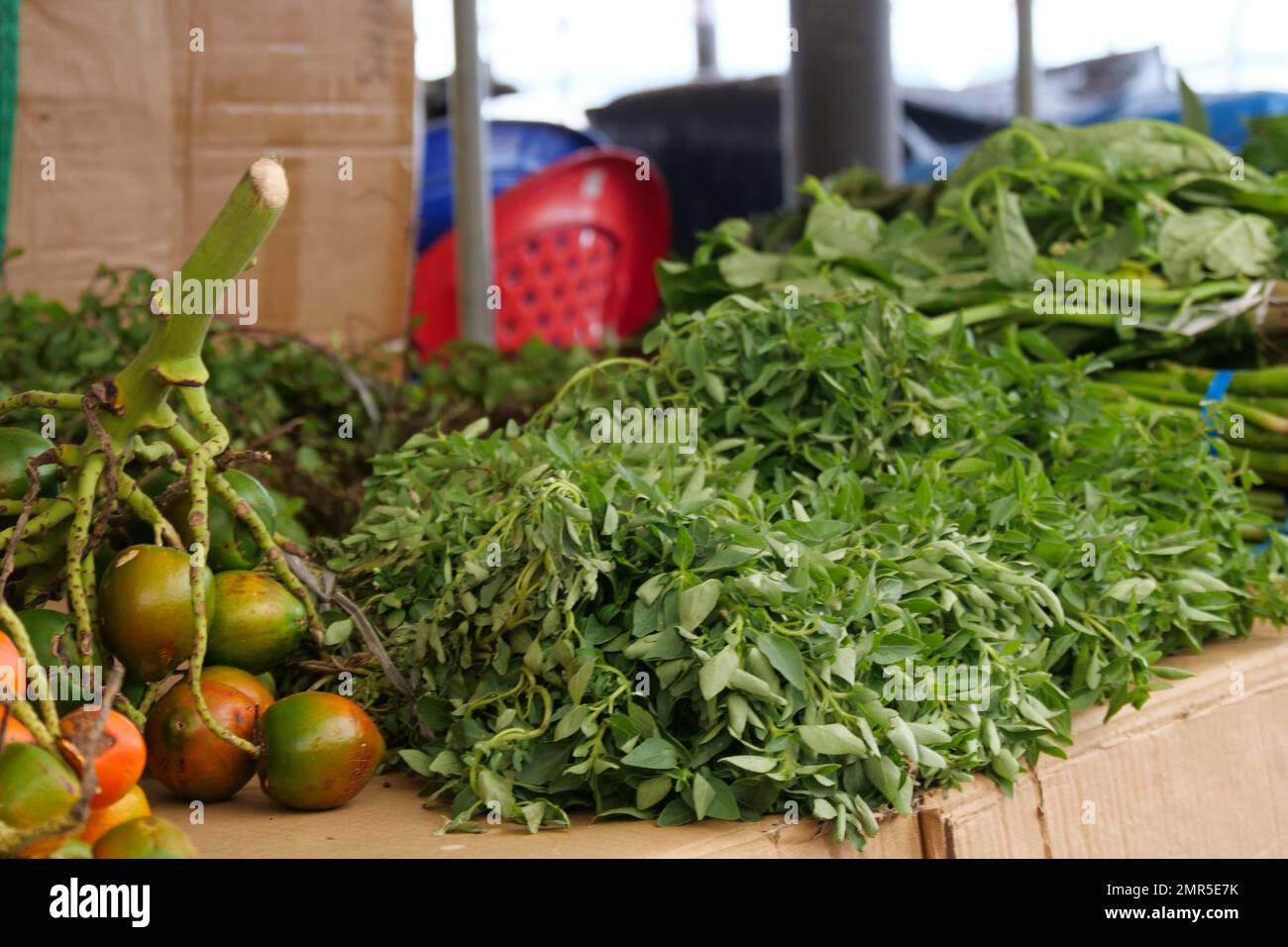 Bunch of peach palm fruit and green herb leaves at a fruit stall at ...
