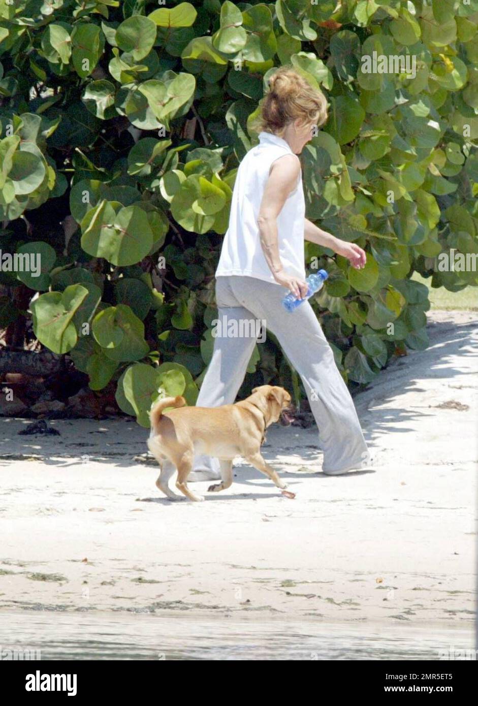 Exclusive!! Laura Norman and friend play with her dogs while they work ...