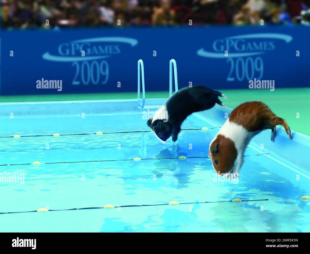 Exclusive!! Move over Olympics and make way for the Guinea Pig Games ...