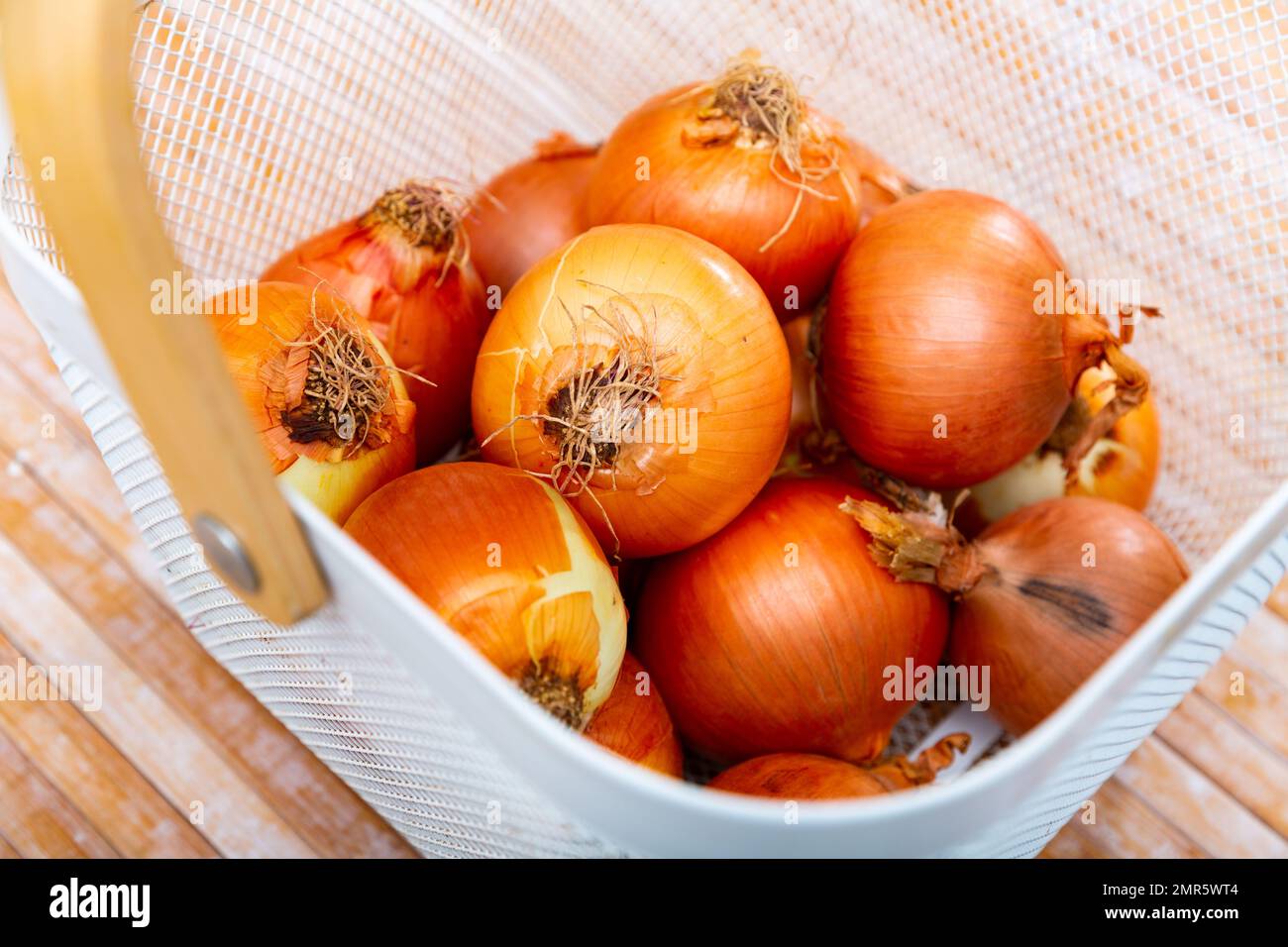 Image of fresh onions in a bucket Stock Photo - Alamy