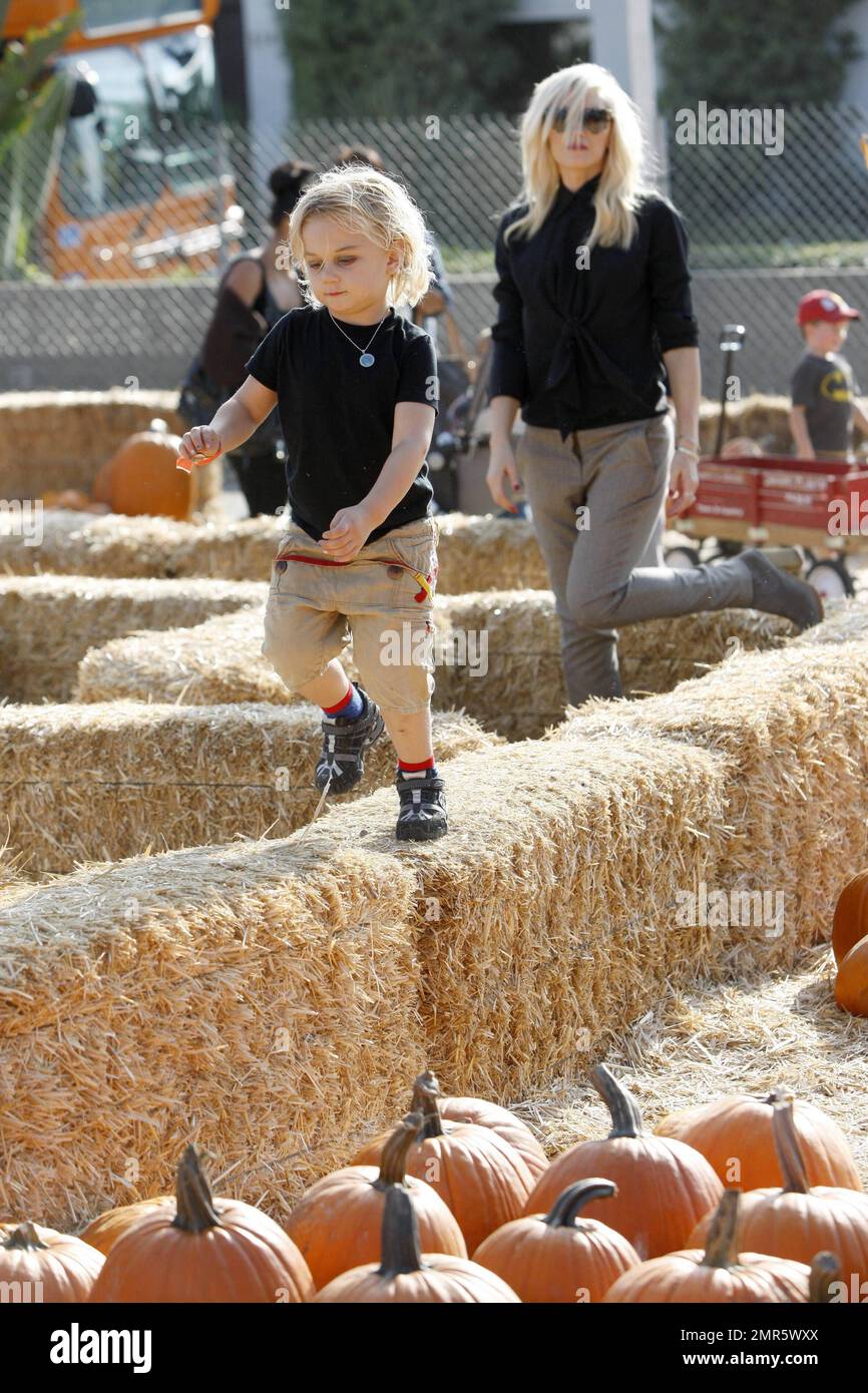 Gwen Stefani and rocker husband Gavin Rossdale get in to the Halloween ...