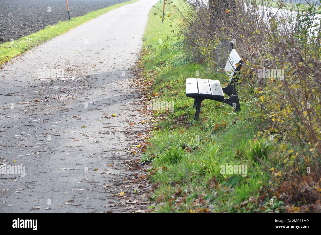 Wooden bench on the road.Old wooden bench along a quiet country road ...