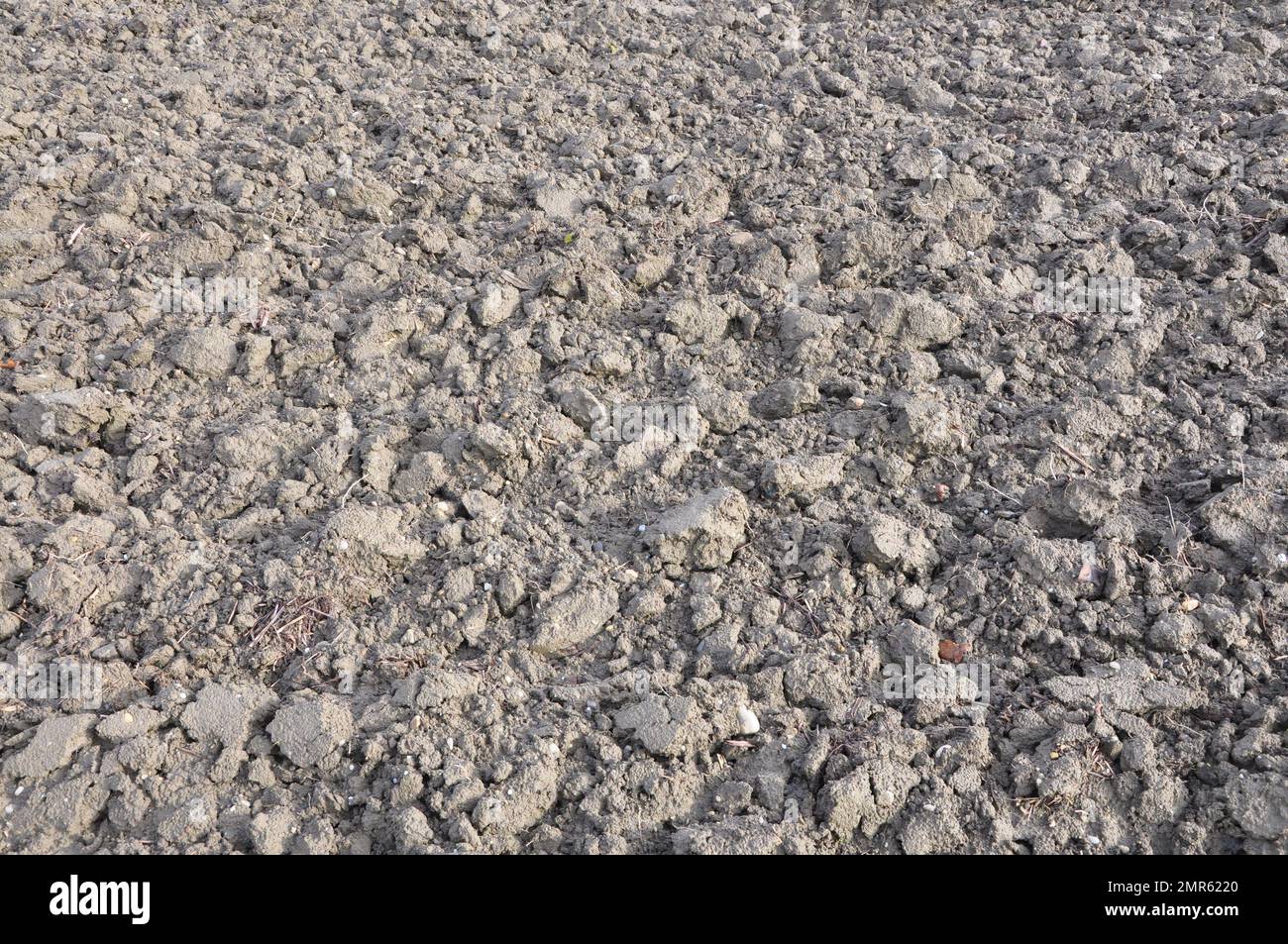 Sunny cultivated land (agriculture background).Soil texture. Dry and ...