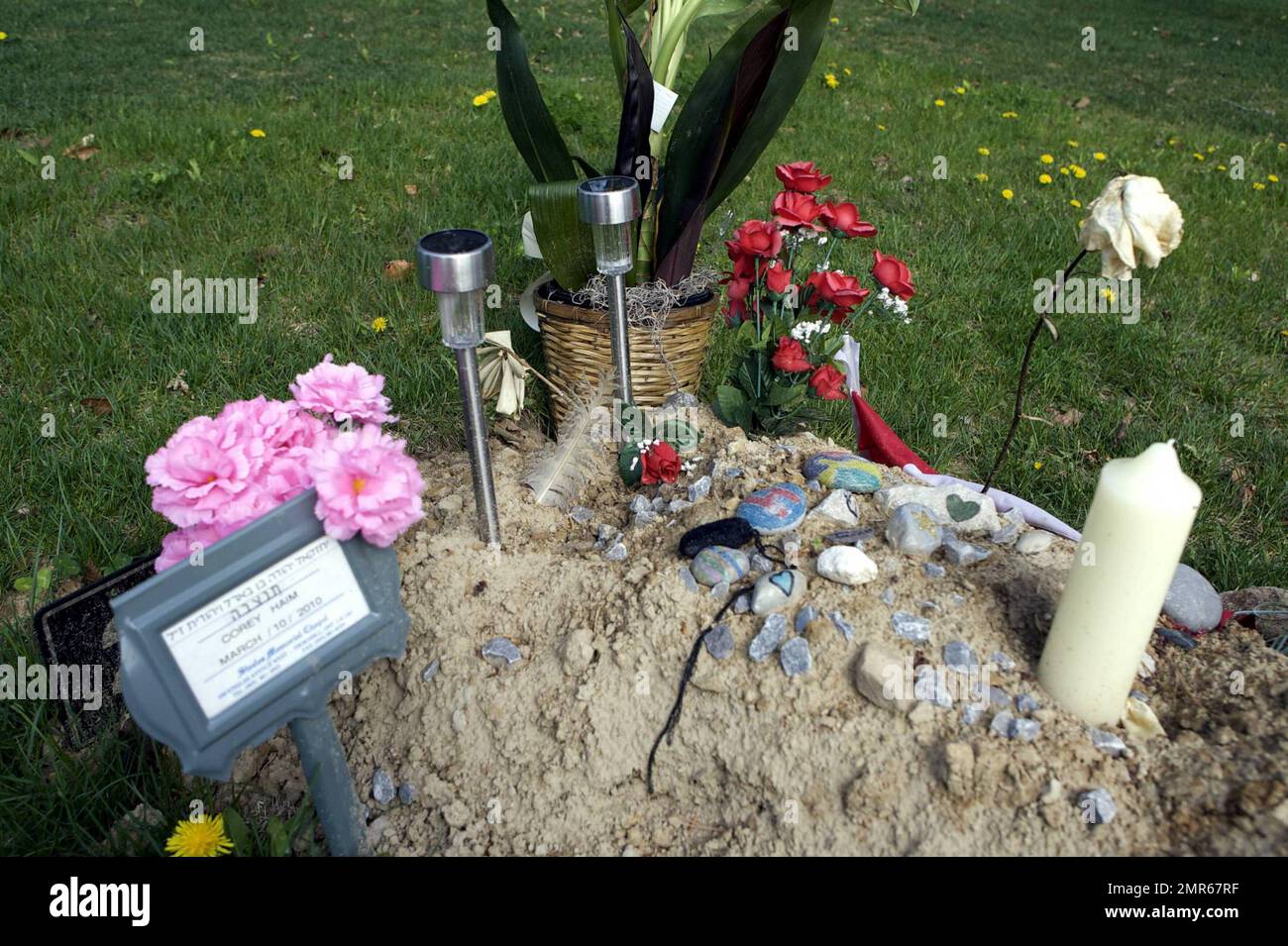 It's reported that actor Corey Haim died from pneumonia complicated by ...