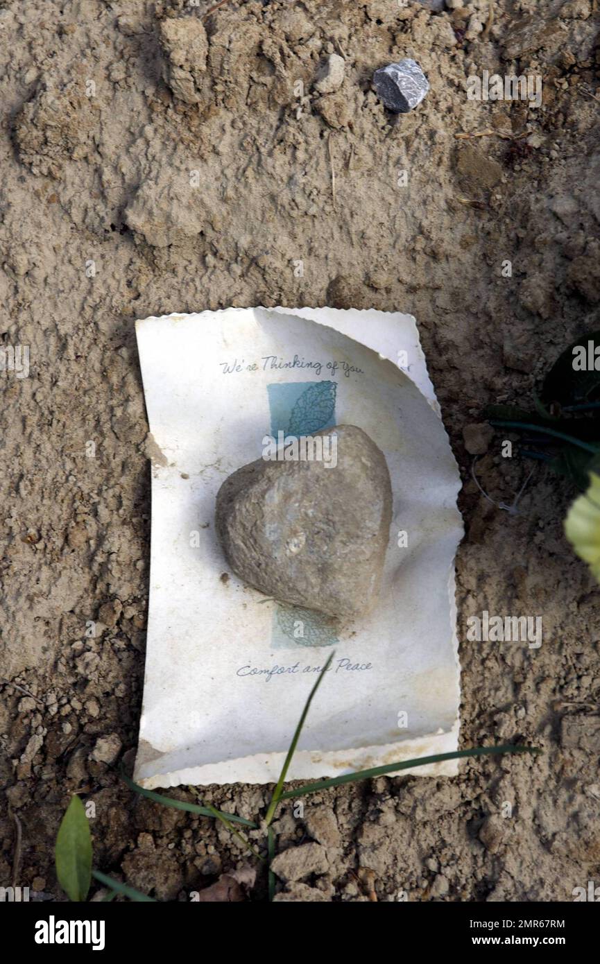 It's reported that actor Corey Haim died from pneumonia complicated by ...