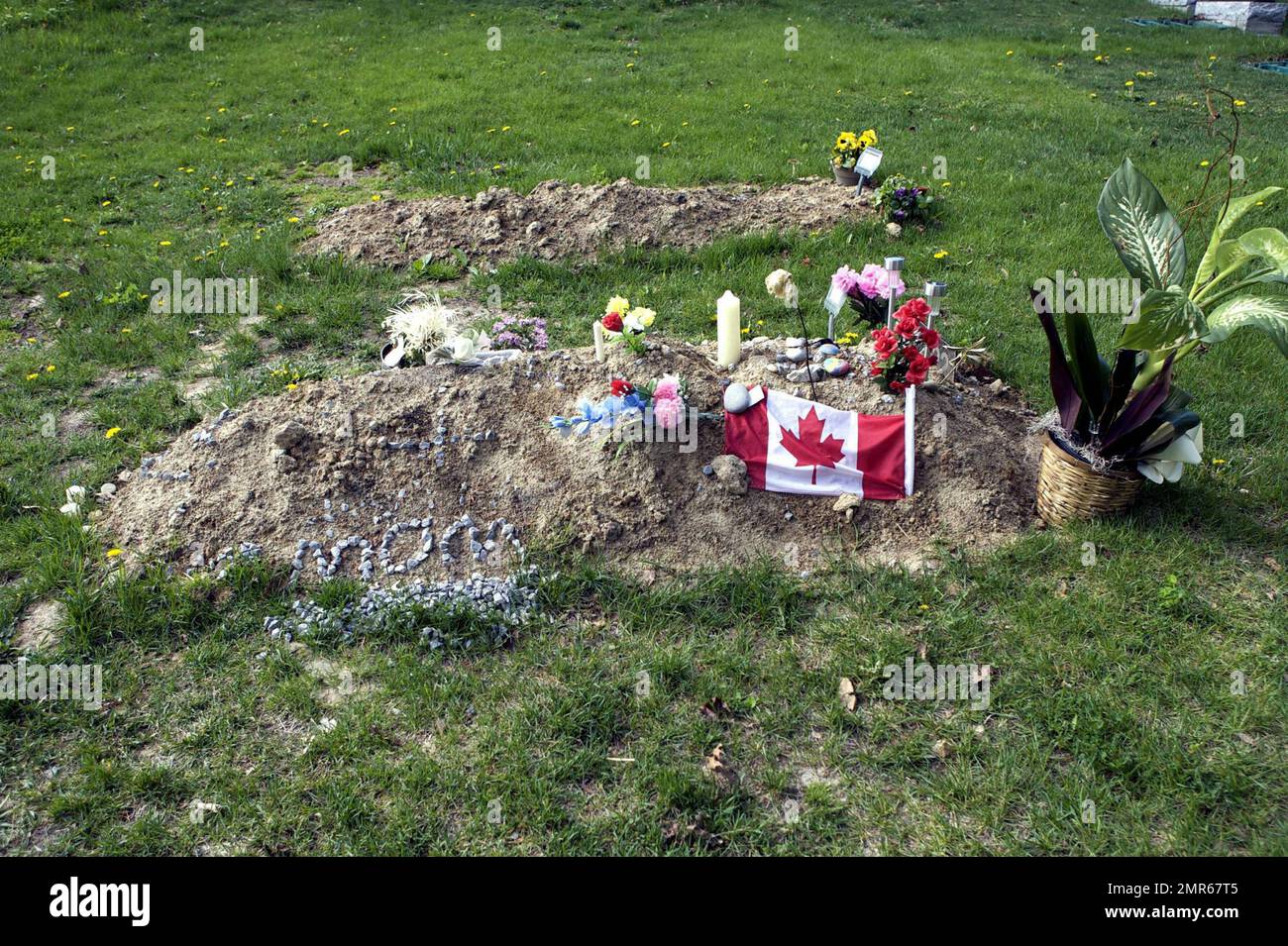 It's reported that actor Corey Haim died from pneumonia complicated by ...