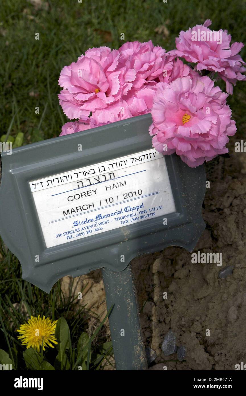 It's reported that actor Corey Haim died from pneumonia complicated by ...