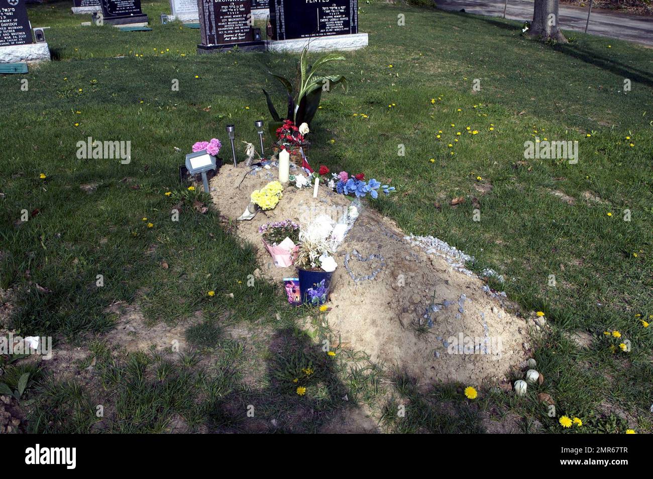 It's reported that actor Corey Haim died from pneumonia complicated by ...