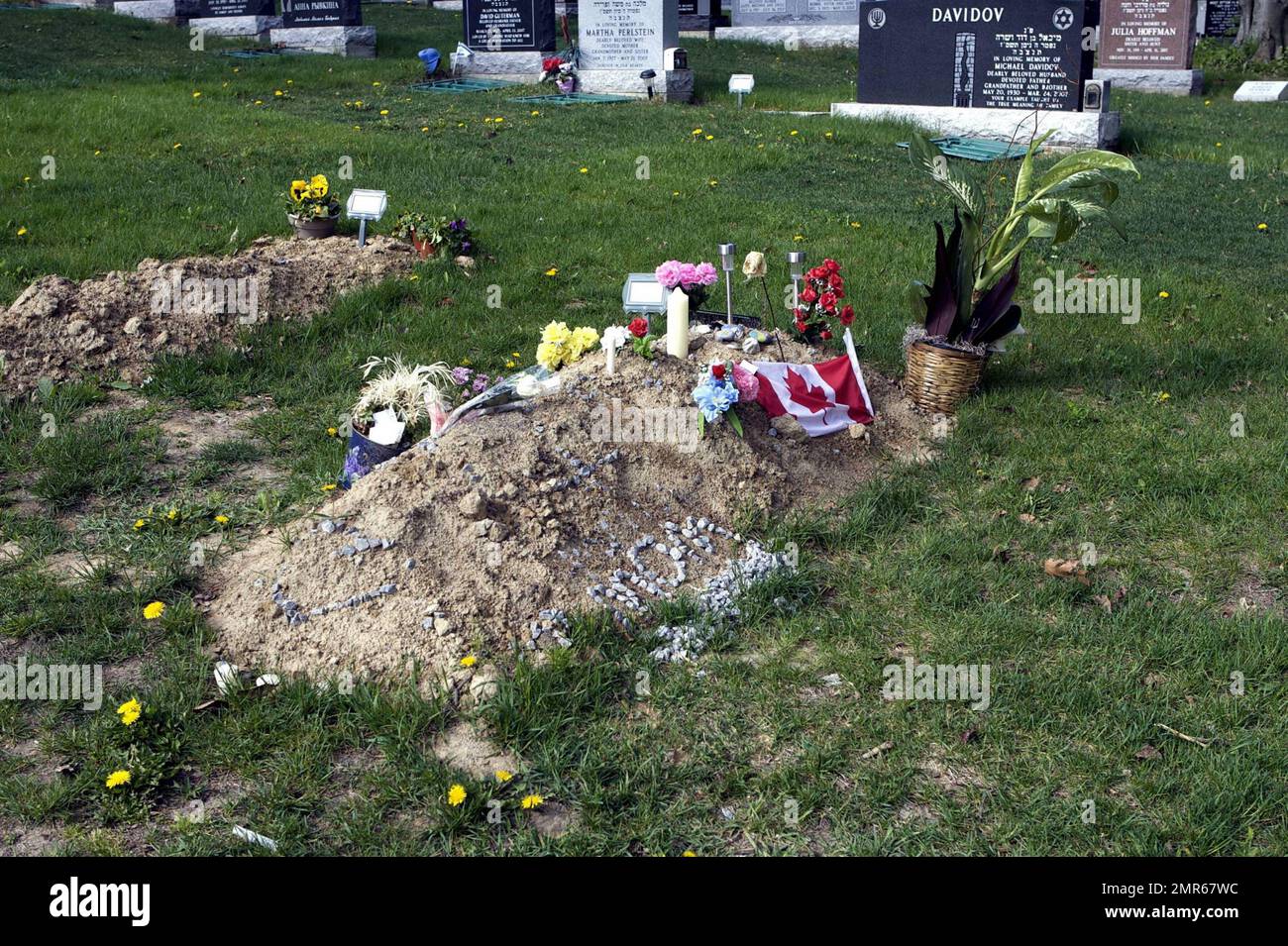 It's reported that actor Corey Haim died from pneumonia complicated by ...