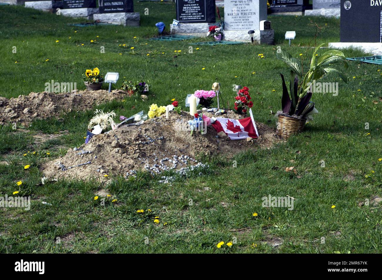 It's reported that actor Corey Haim died from pneumonia complicated by ...