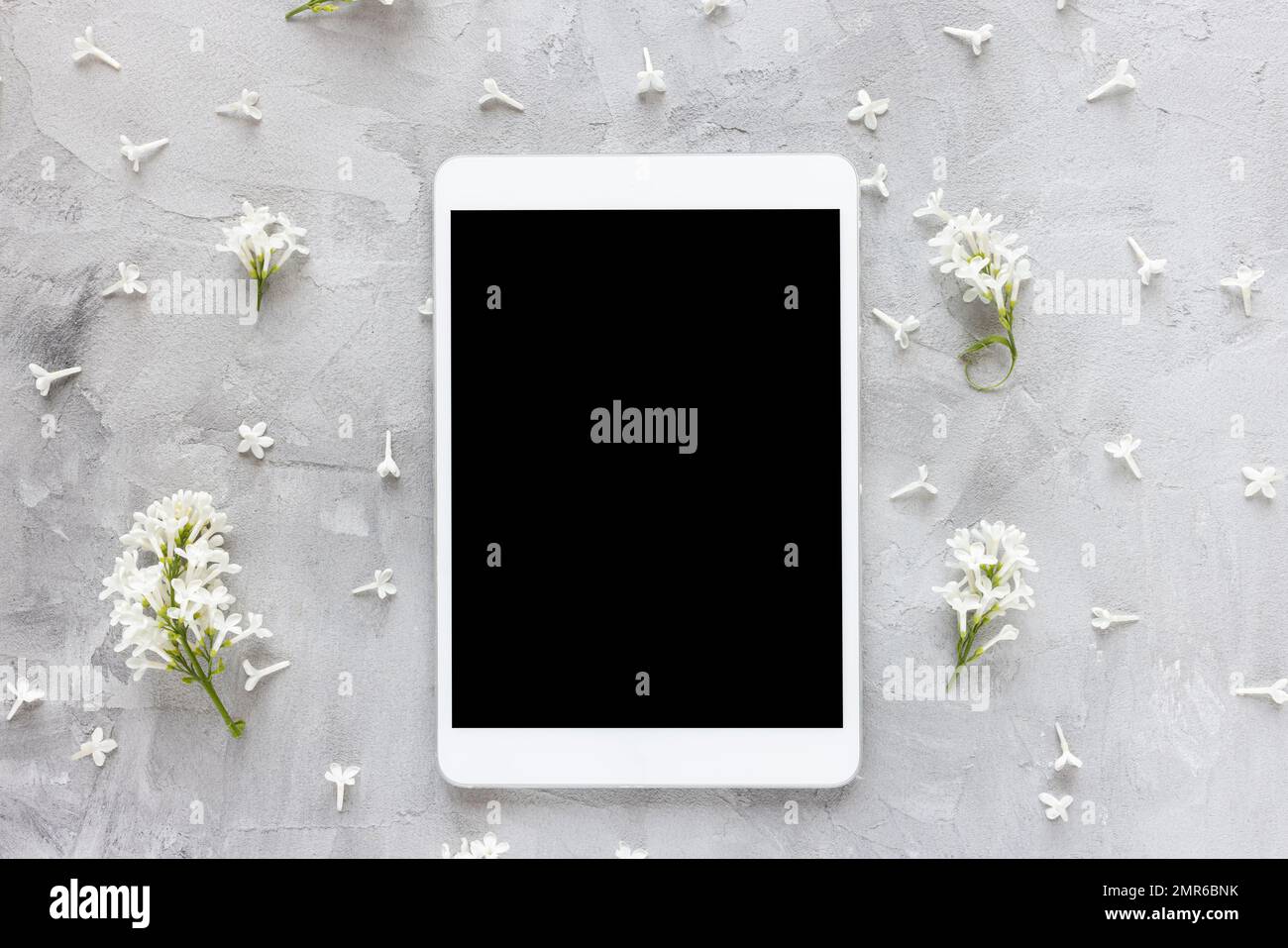 Digital tablet and spring white lilac blossom flowers on gray ...