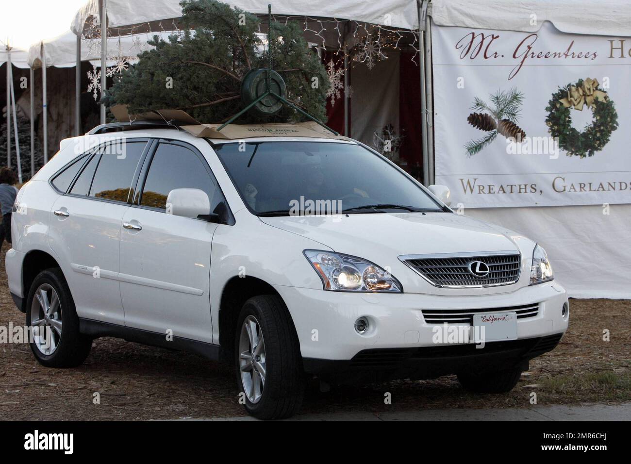 Actress Halle Berry picks out the perfect Christmas tree for her home ...